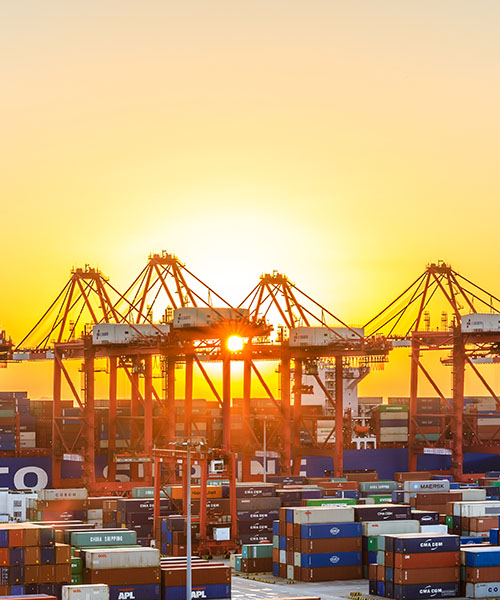 Supply Chain Payments Automation & Credit Platform